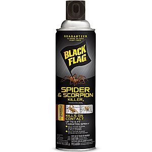 Black Flag Spider and Scorpion Killer, Aerosol, 16-oz