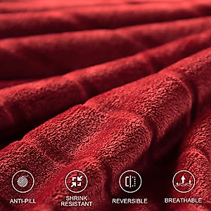 Bertte Plush Throw Super Soft Fuzzy Warm Blanket | 330 GSM Lightweight Fluffy Cozy Luxury Decorative Stripe Blanket for Bed Couch - 50"x 60", Burgundy