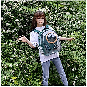 Pet Backpack Carrier Small Puppy Bunny Kitten Airline Approved Space Capsule Bubble Transparent Sightseeing Backpack Birds Travel Cage for Hiking Walking Outdoor