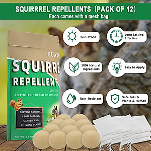 SUAVEC Squirrel Repellent, Chipmunk Repellent, Squirrel Deterrent Peppermint, Outdoor Squirrel Repellents for Garden, Indoor Repellent Squirrels for Attic, Keep Squirrel Away for Plants -8 Pack