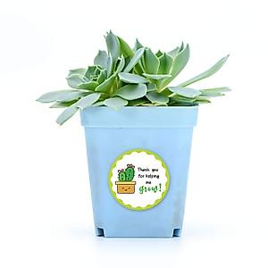 weRevel Helping Me Grow Theme Gratitude Stickers, 40 Count, 2 Inches, Round, 4 Unique Designs