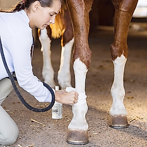 NEXDERMA Silvet Wound and Skin Care Spray to Clean Cuts & Wounds, Itch & Irritation, Nail Bed infections, Interdigital Dermatitis | No Stinging or Burning for Cats, Dogs, Horses - 100ml (Pack of 1)