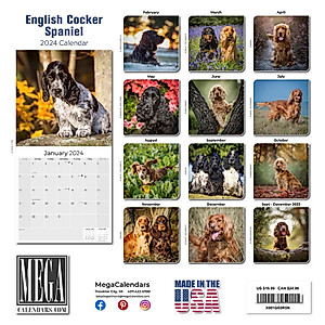 2023 2024 English Cocker Spaniel Calendar - Dog Breed Monthly Wall Calendar - 12 x 24 Open - Thick No-Bleed Paper - Giftable - Academic Teacher's Planner Calendar Organizing & Planning - Made in USA