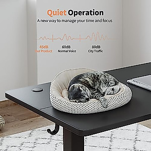 BANTI B-DJ-55BK Standing Desk, 55 inch, Black