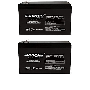 Beiter DC Power High Performance Rechargeable 24 Volt (2 12V Batteries) Battery Pack for The Razor E300 & Razor E325, W15130640003, W13112430003, W13112430185, W15130412003