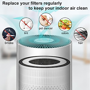 True KILO High Efficiency Filter, Compatible with Afloia KILO, KILOPLUS, KILO PRO, MIRO, MIRO PRO and MORENTO KILO, True 360° 3-Stage Filtration for Afloia KILO Filter Replacement, 2-Pack