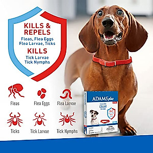 Adams Plus Flea & Tick Collar for Dogs, 7-Month Protection, Adjustable Collar Fits Small Dogs & Puppies, Kills & Repels Fleas, Flea Eggs, Flea Larvae, and Ticks, Kills Tick Larvae and Tick Nymphs