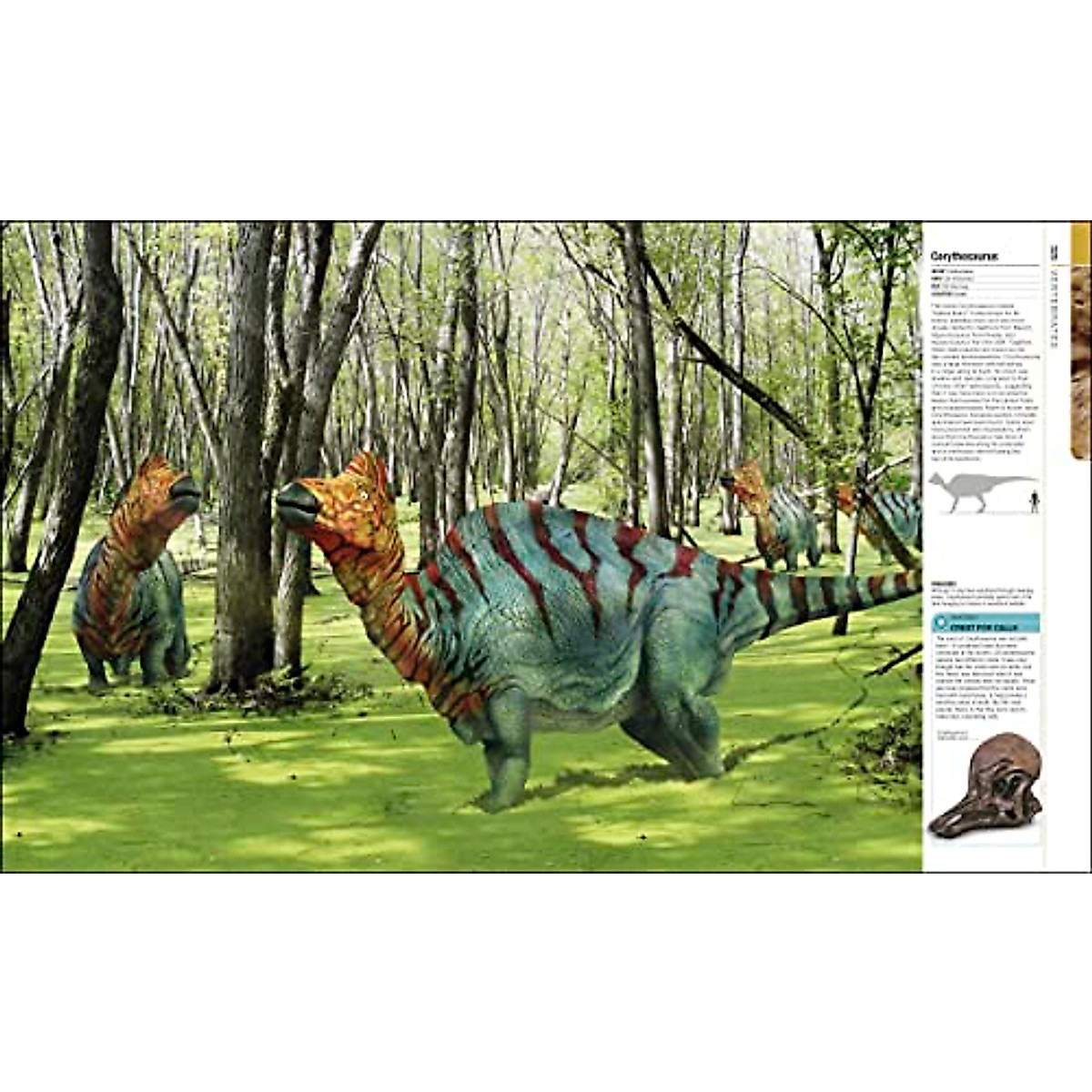 Dinosaurs and Prehistoric Life: The Definitive Visual Guide to Prehistoric Animals (DK Definitive Visual Encyclopedias)