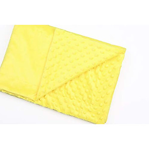 Annlaite Unisex Children's Baby Quilt Soft Baby Blanket Minky Dot- Sherpa Fleece Baby Blanket 30 by 40 Inch Pink