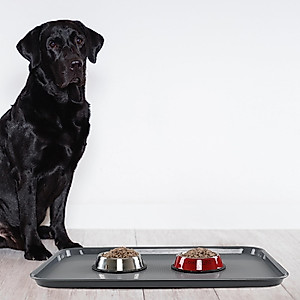 Nicesh 6-Pack Large Plastic Serving Trays, 25.28" x 17.06" Plastic Tray/Animal Feeding Tray or Planter Tray for Storage Shoes, Boots