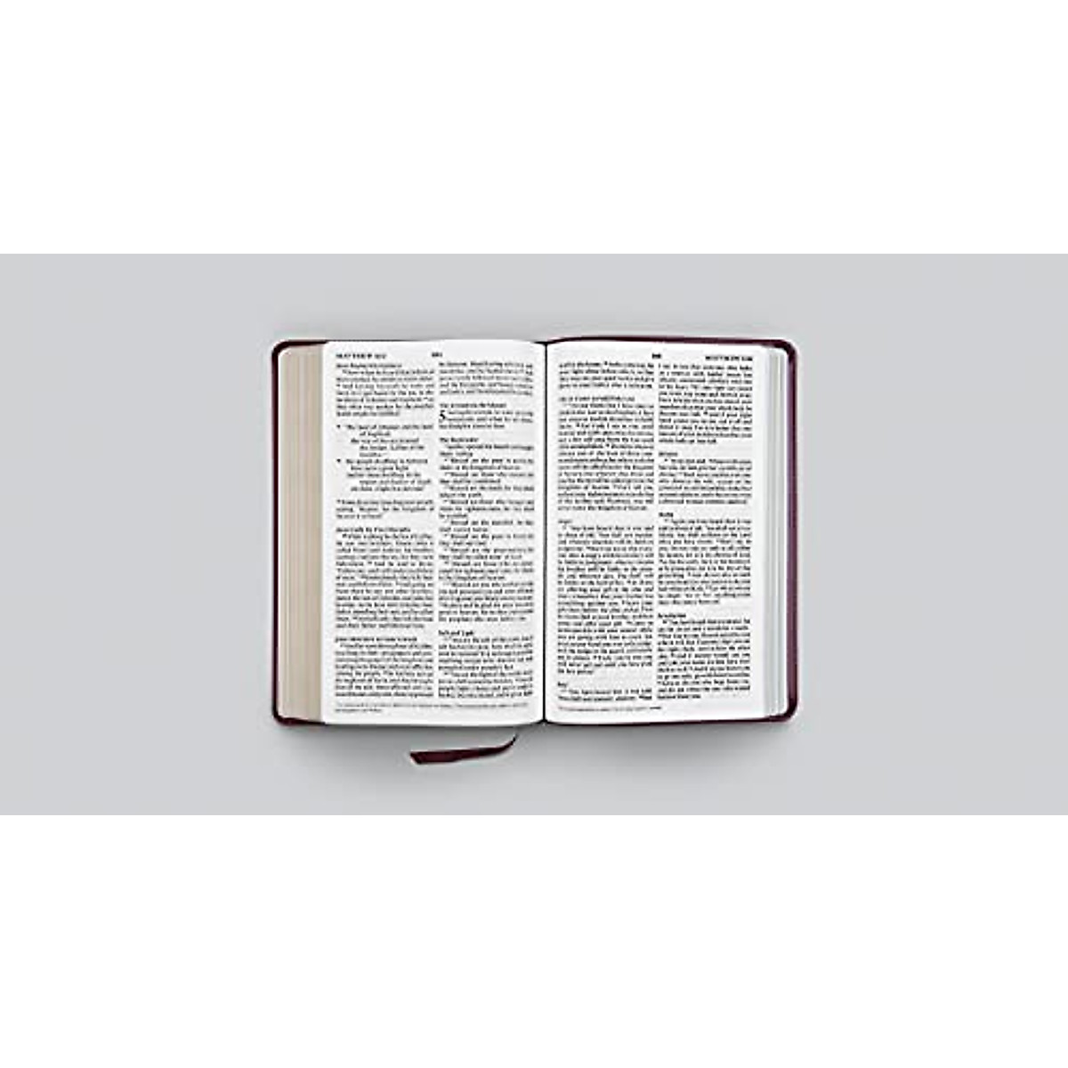 ESV Large Print Thinline Bible (TruTone, Mahogany)