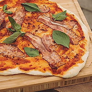 Razor Griddle GGT2160M 19 Inch Outdoor 1 Burner Portable LP Propane Gas Grill Griddle w/Push Ignition for BBQ Cooking and Frying, Black