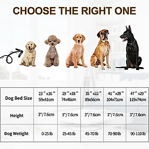 EMPSIGN Dog Bed Crate Pad for Small Dogs, Deluxe Fluffy Plush Machine Washable Dog Mat, Crate Pet Beds with Removable Cover, Dog Sleeping Mat Cushion Bed, 23"x 16"x3", White