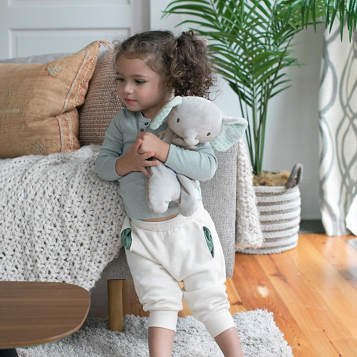 Ingenuity Premium Soft Mini Bean Bag Plush, Van The Elephant, Ages Newborn and up.
