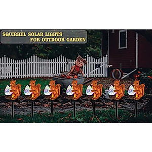 Squirrel Solar Garden Lights,Upgraded Outdoor Decor Solar Squirrel Stake Lights Waterproof Squirrel Decorative Lights for Yard Patio Garden Lawn Decor -1 Pack