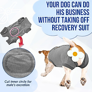 SlowTon Dog Recovery Suit - Surgery Recovery Suit for Female Male Dogs, Dog Onesie After Spay Abdominal Wounds, E-Collar Cone Alternative Prevent Licking Pet Surgical Snugly Suit(Grey,XXL)