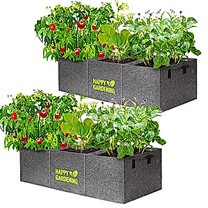 Fabric Grow Bags, 2-Pack Raised Garden Bed with Handle for Vegetable Herbs, Fabric Plant Pots Indoor Outdoor, 3 sq. ft.