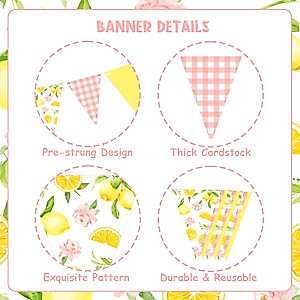Lemon Party Decorations - 3PCS Lemon Bunting Banners, Pink and Yellow Lemon Triangle Banner Garland for Lemonade Wedding Engagement Bridal Shower Bachelorette Baby Shower Birthday Party Decor