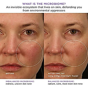 TATCHA Firming Nourishment AM + PM Duo: The Silk Cream + Indigo Overnight Repair