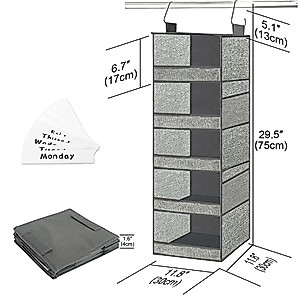 homyfort Hanging Closet Organizer, Weekly Clothes Storage Organizer for Kids, 5 Shelf with Side Pockets for Shoes,Nursery,Baby Clothing,Hat,Shirt,Dorm (Celadon)