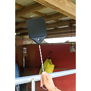 Insectifuge Leather Fly Swatter 2 Pack with 5 Window Fly Traps - Heavy Duty Fly Swatter Manual, Retractable Fly Swatter for Indoors Outdoors, Large Fly Swatters Multi Pack Long Handle, MATA Moscas