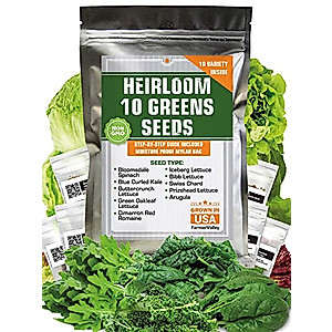 Heirloom Non-GMO Lettuce and Greens Seeds Variety Pack for Outdoor and Indoor Gardening & Hydroponics, 5000+ Seeds - Kale, Butter, Oak, Spinach, Romaine Bibb & More