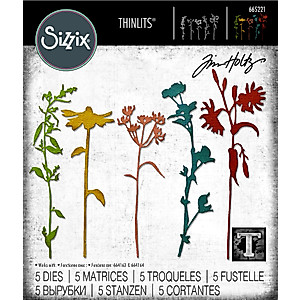 Sizzix Thinlits Die 665221 Wildflower Stems #3 by Tim Holtz 5 Pack, Multicolor