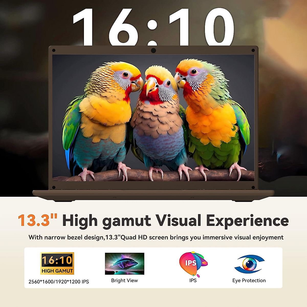 A DREAMER Laptop Computer 13.3 inch 2.5K QHD IPS 16:10 Screen, Windows 10 Laptop Intel N4020 SSD Replaceable Portable Traditional Laptop, Brown PC (6G+256GB)