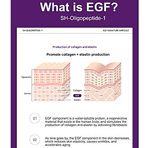 MIBA EGF Signature Ampoule 20ml / 0.68 fl.oz Skin apex that wakes up with one drop, EGF peptides, Night Serum, Watery, Light Texture
