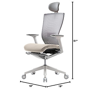 SIDIZ T50 Ergonomic Home Office Chair : High Performance, Adjustable Headrest, 2-Way Lumbar Support, 3-Way Armrest, Forward Tilt, Adjustable Seat Depth, Ventilated Mesh Back, Cushion Seat (Beige)