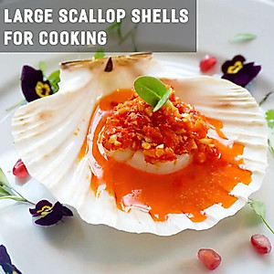 QEQEKAKA 6PCS Scallop Shells 4‘’-4.5" Natural Sea Shells White Hawaiian Scallop Shells for Baking DIY Craft Home Vase Fillers & Beach Wedding Party Decor
