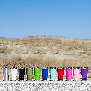 MalloMe BEARCLAW Insulated Tumbler With Handle & Straw - Stainless Steel Tumblers Coffee Travel Mug - Reusable Insulated Cup for Water with Brush, 2 Lids & Straws - Splash-Proof 30 Oz Silver