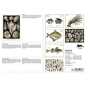 Marine: Paper Placemat Pad (Multilingual Edition) (English, French and German Edition)