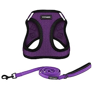 Voyager Step-in Air All Weather Mesh Harness and Reflective Dog 5 ft Leash Combo with Neoprene Handle, for Small, Medium and Large Breed Puppies by Best Pet Supplies - Purple, Small