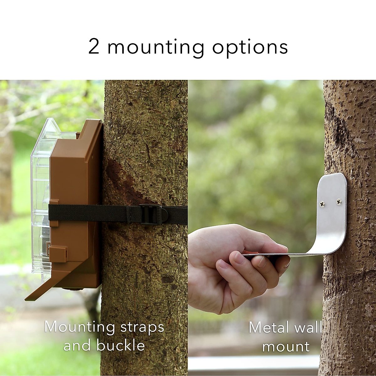 Wasserstein Bird Feeder Camera Case Compatible with Blink, Wyze, and Ring Camera for Bird Watching with Your Security Cam - (Camera NOT Included)