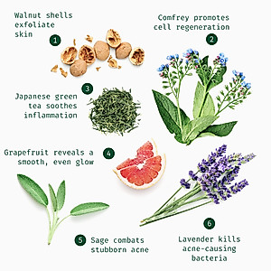 Botanic Tree Microdermabrasion Facial Scrub - Anti Aging Exfoliating Face Scrub for Acne Scars, Dullness, Wrinkles, Dry Skin, Pores, and Blackheads, 100% Vegan Skin Care Facial Exfoliator, 4 fl. oz.