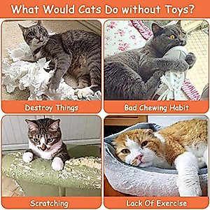 ETEKYER Catnip Toys, Cat Toys, Cat Toys for Indoor Cats, Catnip Toys for Cats, Cat Toys with Catnip, Interactive Cat Toy, Cat Chew Toy, Cat Pillow Toys, Cat Toys for Kittens Kitty