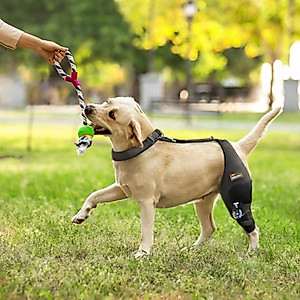 CHAMIN/RISURRY Adjustable Dog Knee Brace with Extra Collar, Support for Torn Acl Hind Leg, Tear Ligament, Osteoarthritis,Rear Leg Limp, Recovery After Surgery,et（Left Leg,L）