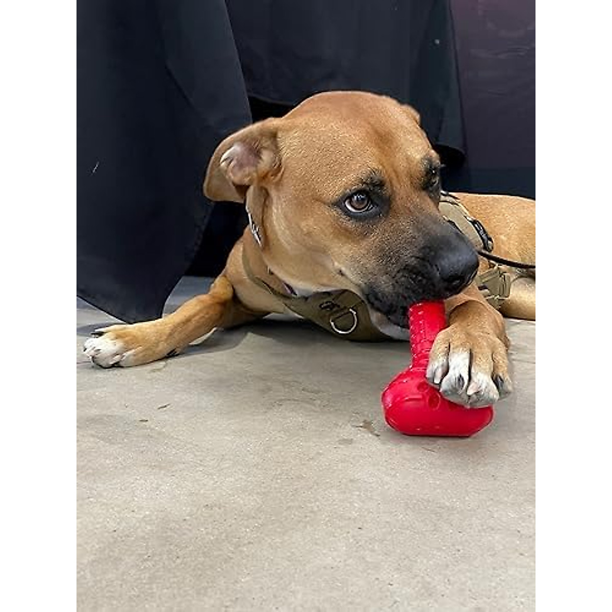 Jersey Dog Co. Chompi Bone Dog Toy, Chew Bone, Made in USA