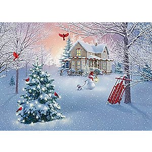 Box Home for Christmas Christmas Cards - 15 Cards / 16 Foil Envelopes