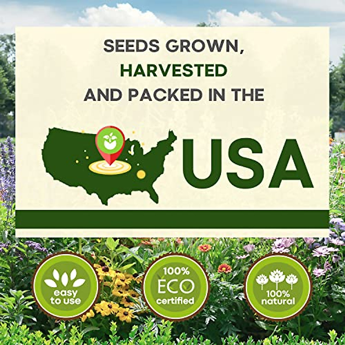 Heirloom Vegetable Seeds Variety 7 Pack — Includes Beet, Broccoli, Cabbage, Carrot, Celery, Cucumber and Kale — Vegetable Garden Starter Kit (7 Variety A)