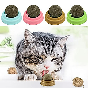 Catnip Wall Toys, 4 Pack Cat Toys, Rotatable Silvervine Catnip Lickable Balls, Safe Healthy Kitten Chew Toys, Teeth Cleaning Cat Bite Toy, Cat Wall Treats