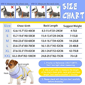 ROZKITCH Dog Surgery Recovery Suit, Onesie Breathable Abdominal Wound Skin Problems, Puppy Cone Collar Alternative, Anti Licking Professional Surgical Recovery Costume After Spay, No Harassment