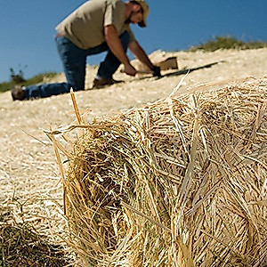 50 ct. Contractor Grade 4 Inch Biodegradable Stakes, Sod Staples for Securing Weed Fabric, Landscape Fabric, Netting, and Blanket