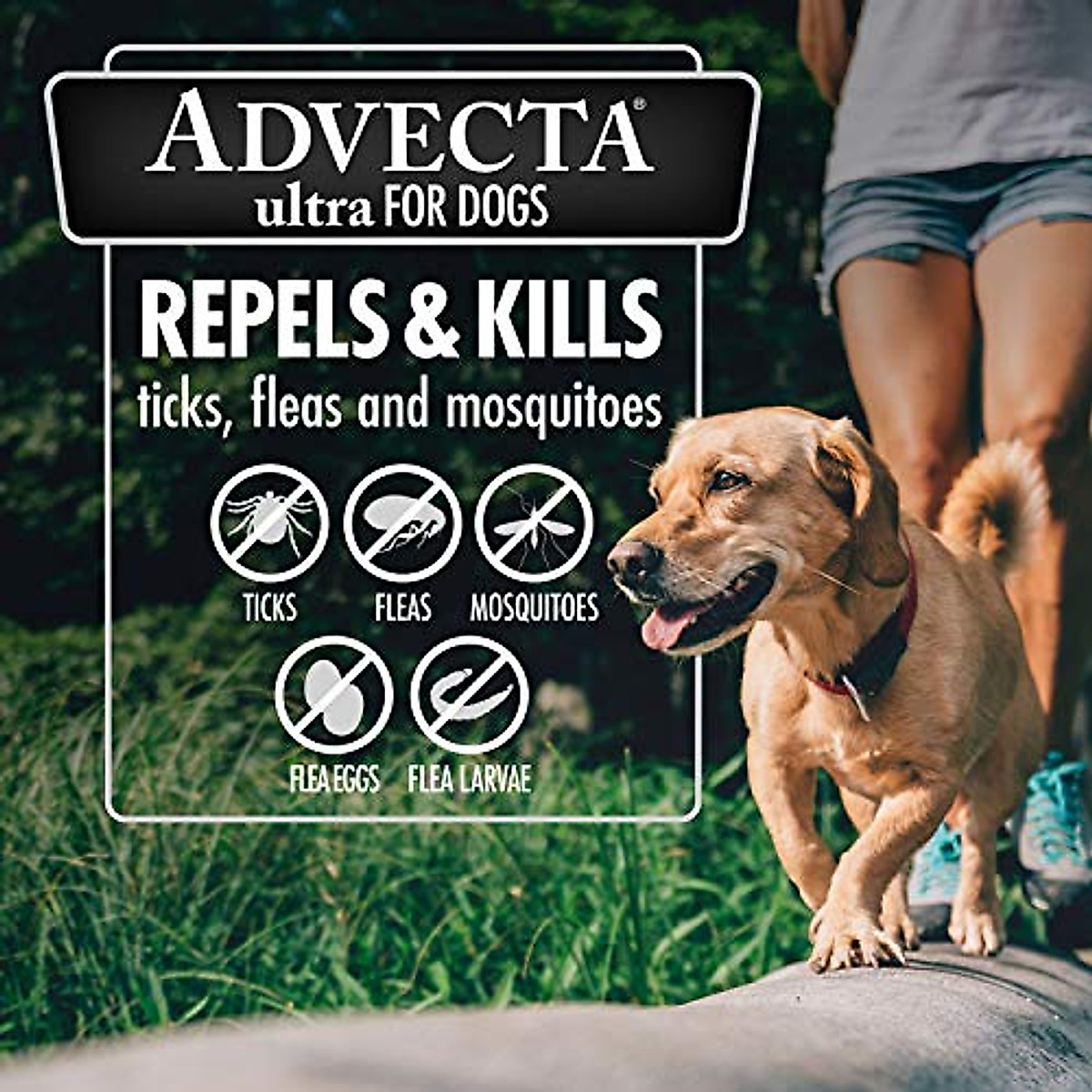 Advecta Ultra Flea and Tick Prevention for Dogs, Dog Flea and Tick Treatment, Waterproof Topical, Fast Acting, Large Dogs (21-55 lbs), 4 Doses