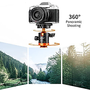 K&F Concept 78 inch Camera Tripod for DSLR Compact Aluminum Tripod with 360 Degree Ball Head and 10KG Load for Travel and Work K234A7+BH-28L (S210)