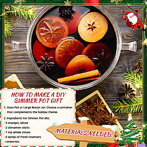 Baderke Christmas Simmer Pot Gift 50 oz Glass Cooking Festive Saucepan Pots with Christmas Card Artificial Red Berries Pine Needles Handmade Cotton Rope Red Ribbon Stirring Spoon for DIY Xmas Gift