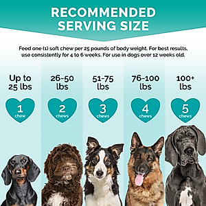 PREMIUM CARE Hemp Calming Chews for Dogs, Made in USA - Helps with Dog Anxiety, Separation, Barking, Stress Relief, Thunderstorms and More, 9.3 oz (264g), 120 Count