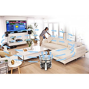 Fcp Power 360 Super Fan Cost Effective, Portable Design - Silver/Black with Remote Control