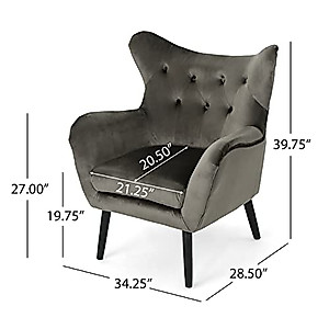 Christopher Knight Home Seigfried Mid-Century Velvet Arm Chair, Grey / Black